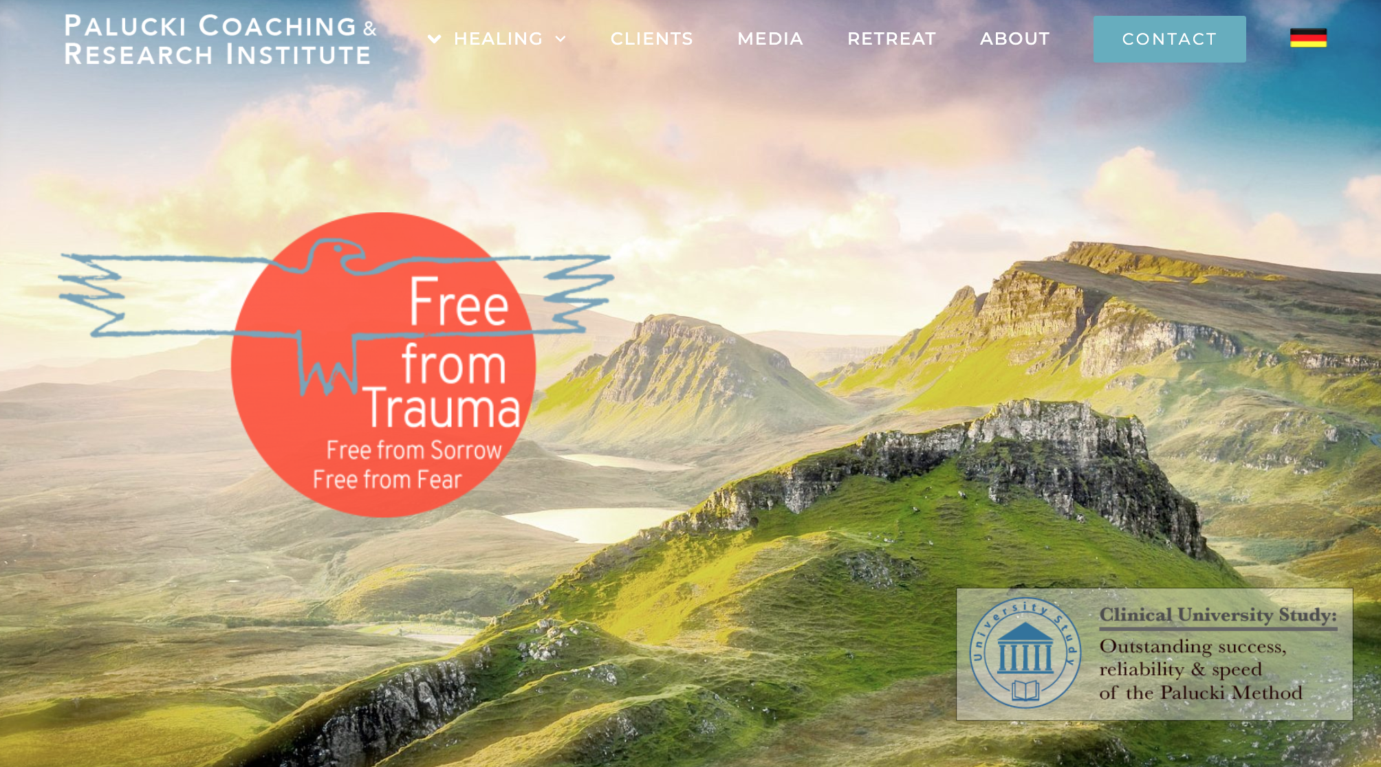 The Science of Consciousness Conference | Palucki Method